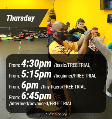 Classes – MBS Karate